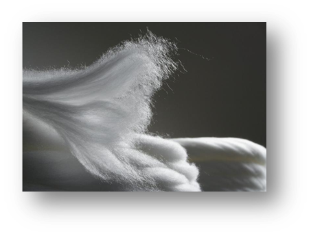 LincSpun and Lenzing – LincSpun Group